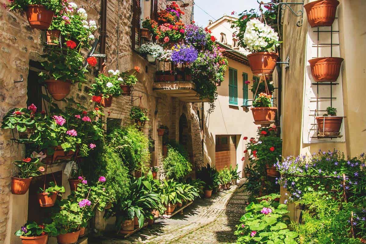 23 French Vegetable Garden Ideas You Should Look | SharonSable