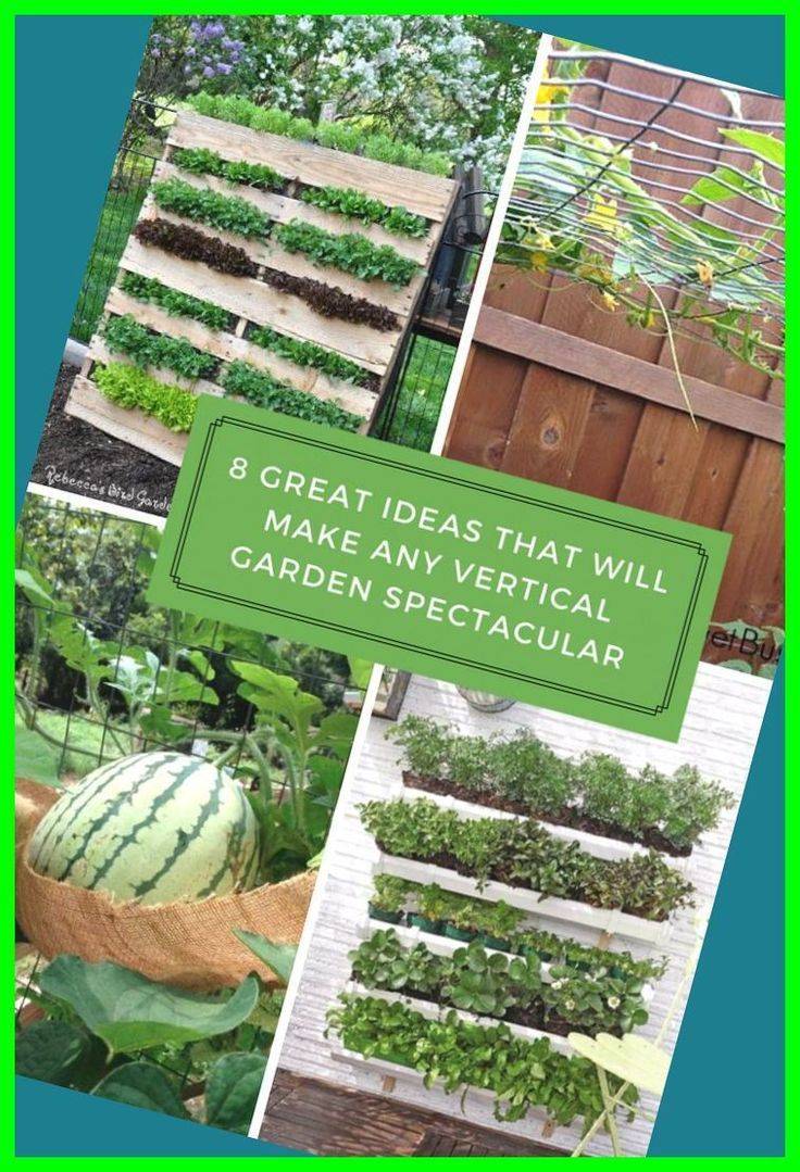 17 Beginner Vegetable Garden Layout Ideas You Should Look | SharonSable