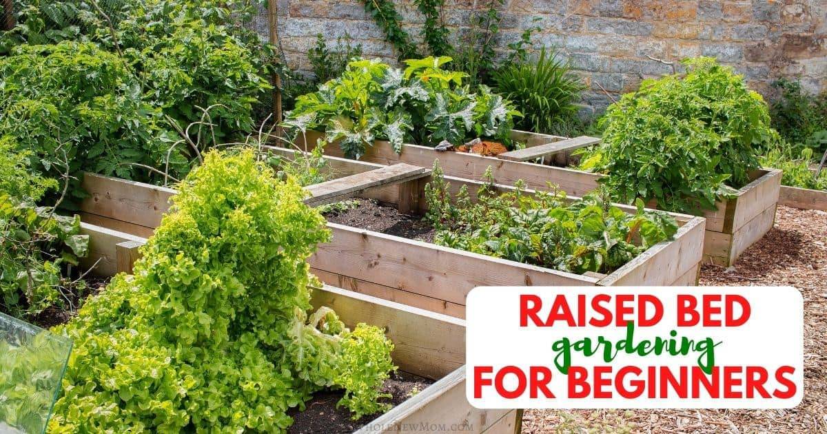 31 Planting a Garden for Beginners Ideas You Cannot Miss | SharonSable