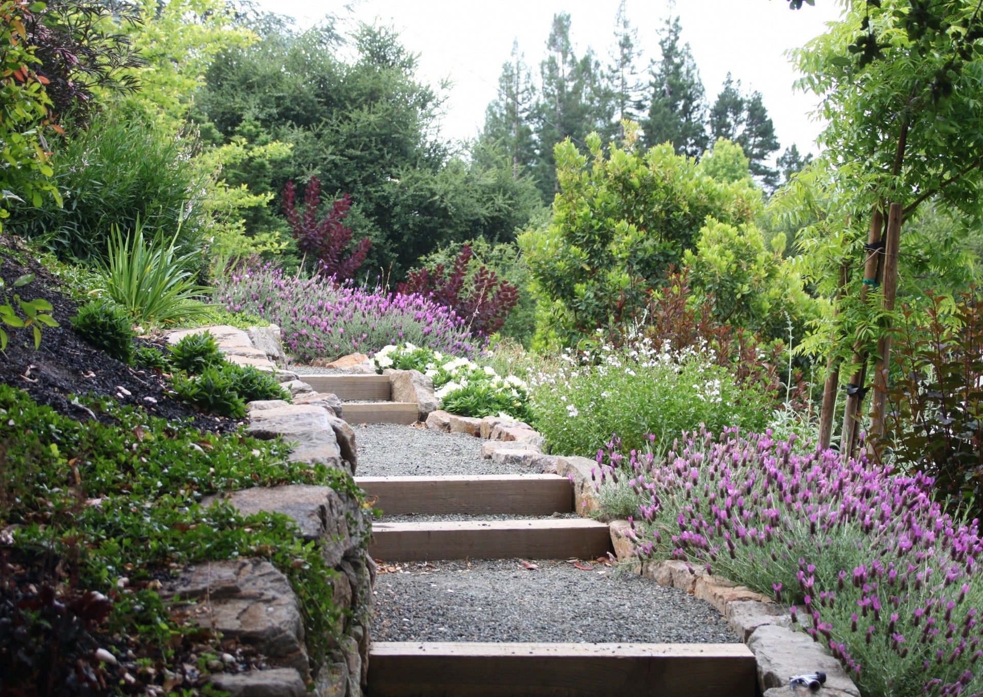19 Hillside Garden Terracing Ideas To Consider | SharonSable