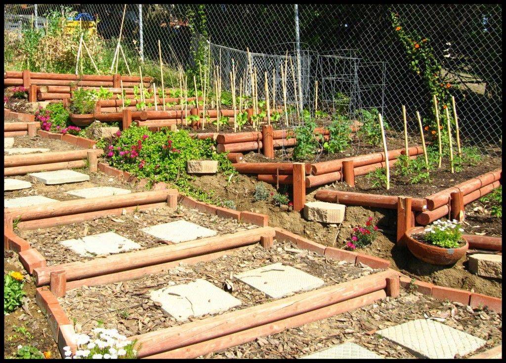 22 Raised Bed Vegetable Garden On Slope Ideas You Must Look | SharonSable