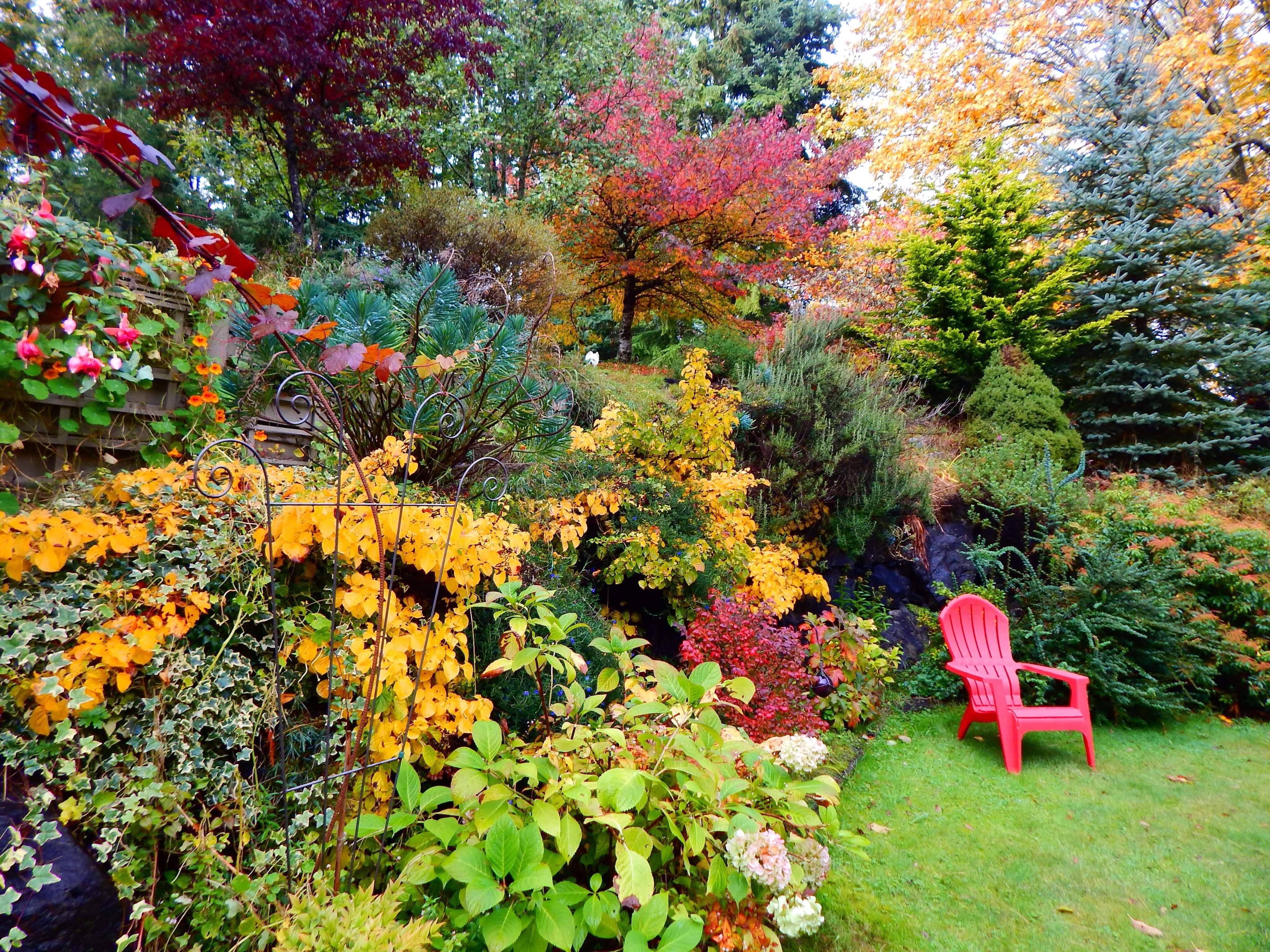 23 Pacific Northwest Shade Garden Ideas You Cannot Miss | SharonSable