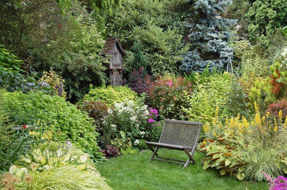 23 Pacific Northwest Shade Garden Ideas You Cannot Miss | SharonSable