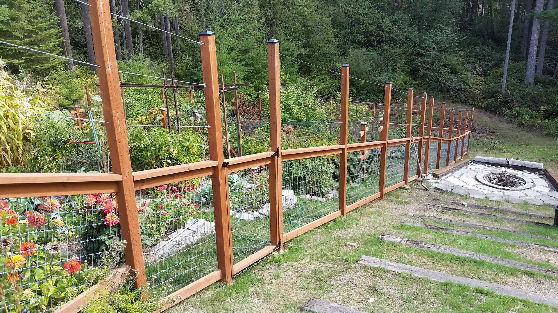 19 Deer Fence Garden Ideas You Cannot Miss | SharonSable