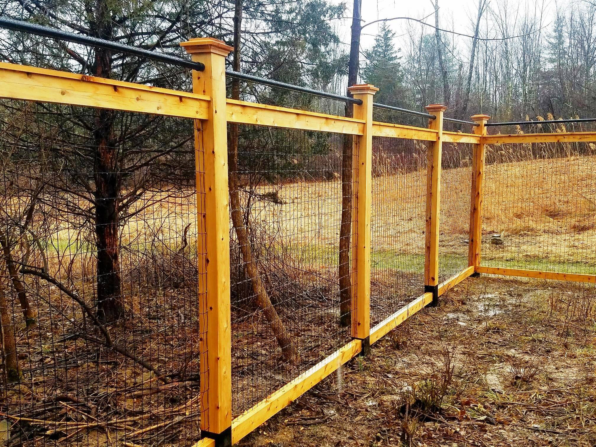 19 Deer Fence Garden Ideas You Cannot Miss | SharonSable