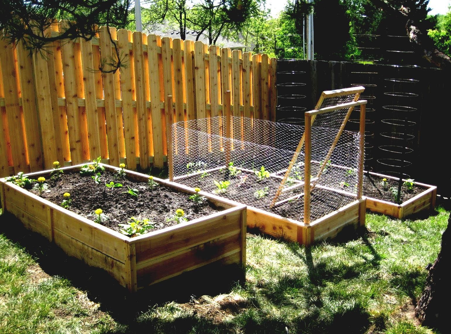 23 Raised Garden Fence Ideas You Must Look | SharonSable