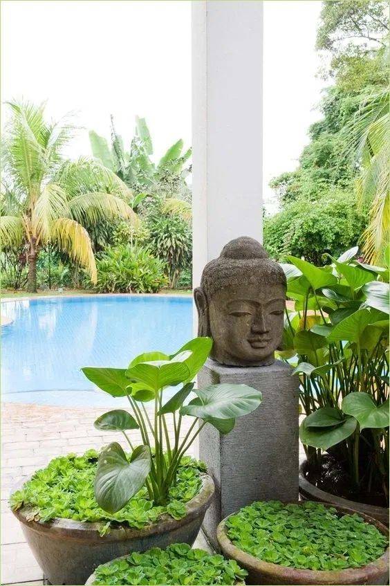 25 Tropical Zen Garden Ideas You Should Check | SharonSable