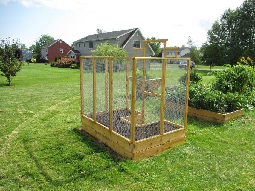 19 Deer-Proof Raised Garden Ideas To Try This Year | SharonSable