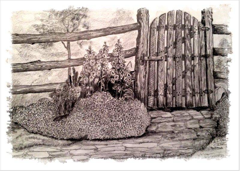 16 Garden Pencil Drawing Ideas You Gonna Love | SharonSable