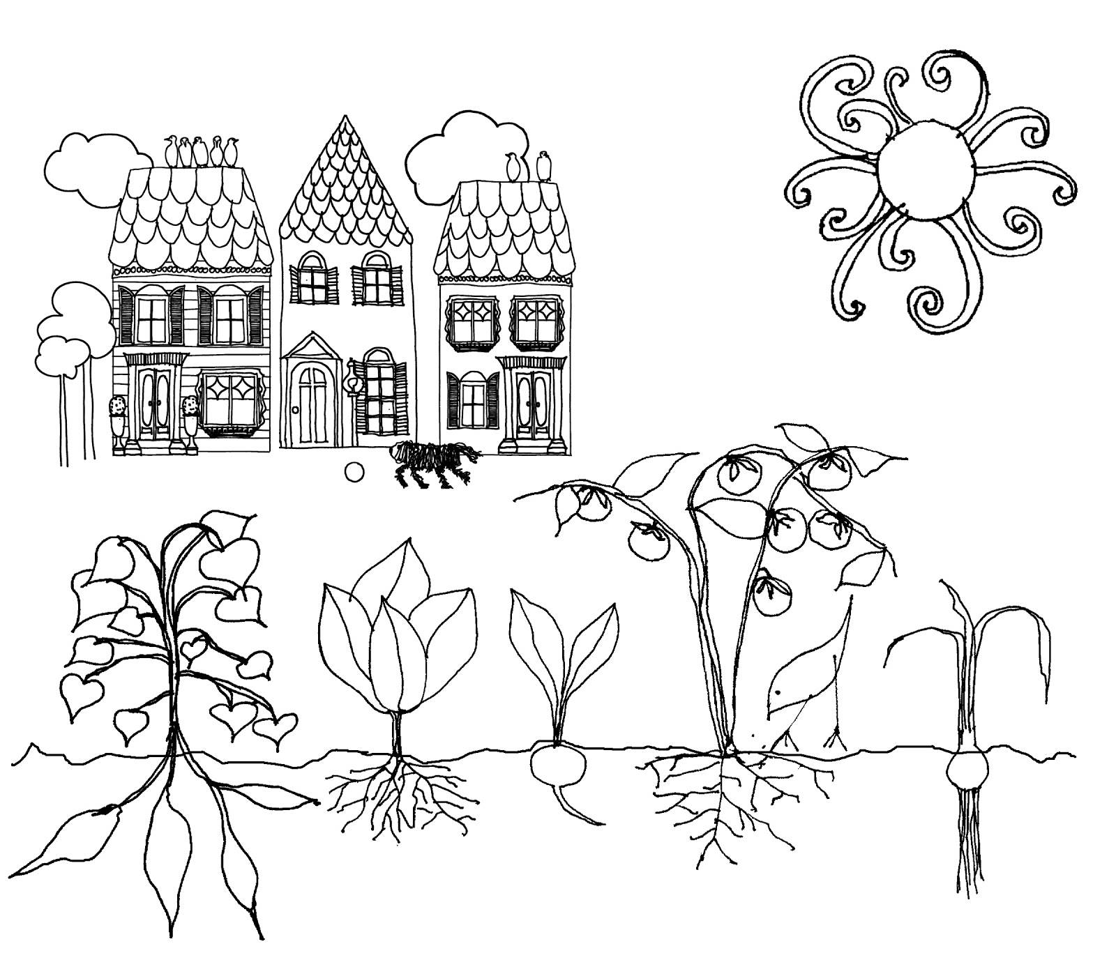 18 Garden Line Drawing Ideas Worth a Look | SharonSable
