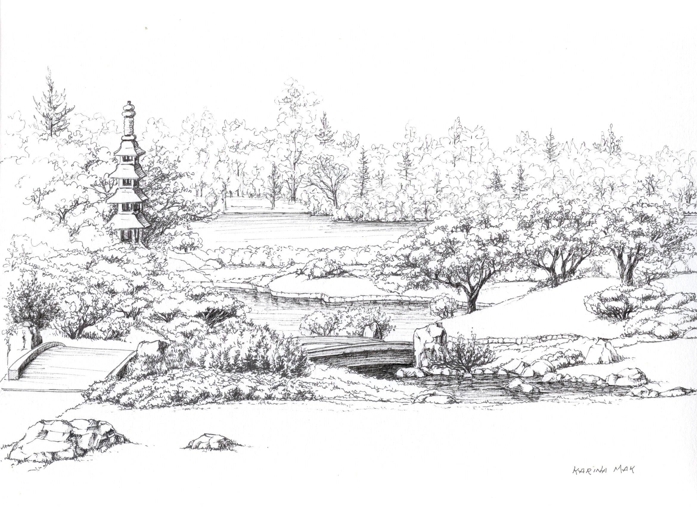 18 Garden Line Drawing Ideas Worth a Look | SharonSable