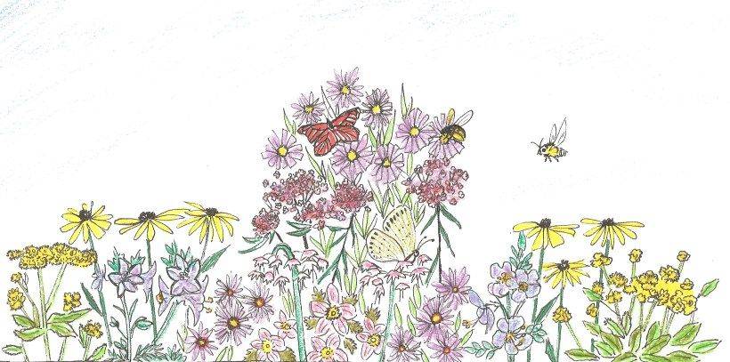 21 Pollinator Garden Drawing Ideas You Must Look | SharonSable