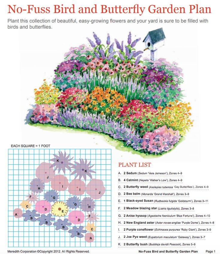 21 Pollinator Garden Drawing Ideas You Must Look | SharonSable