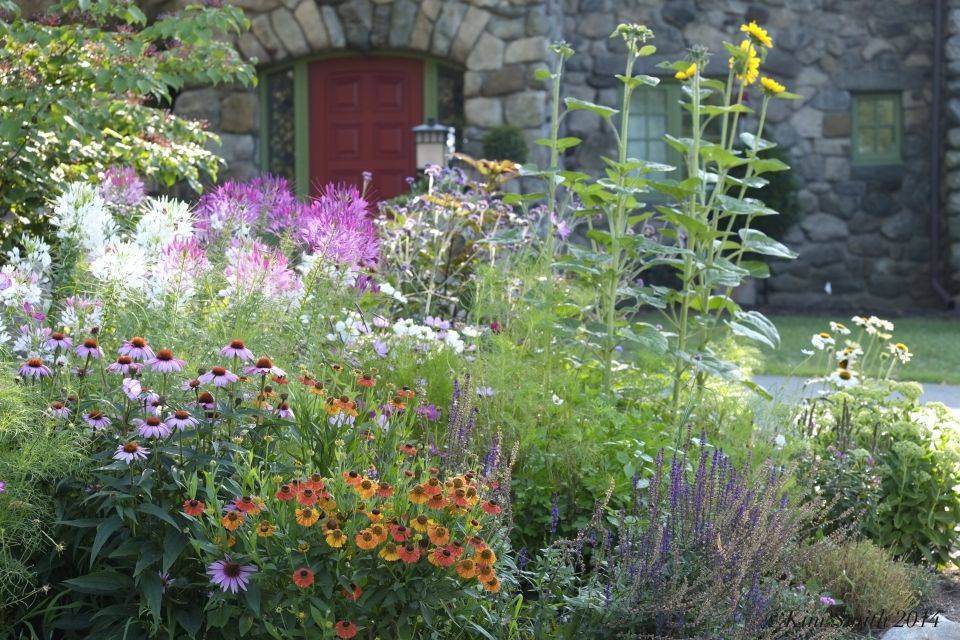 21 Pollinator Garden Drawing Ideas You Must Look | SharonSable