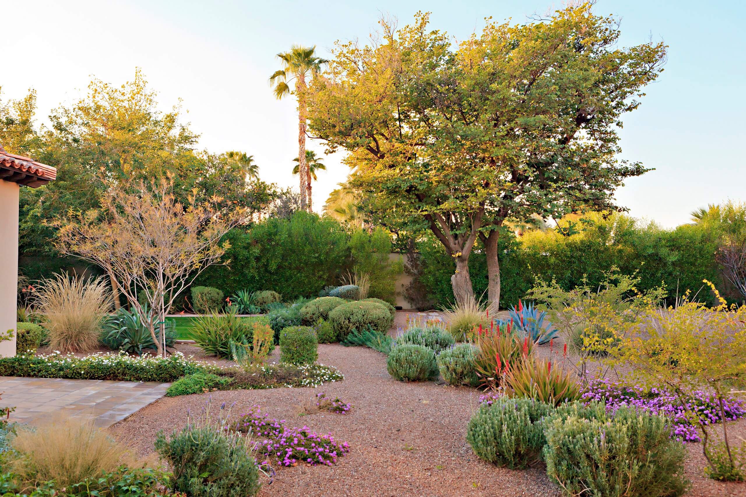 20 Desert Garden Landscaping Ideas Worth to Check | SharonSable