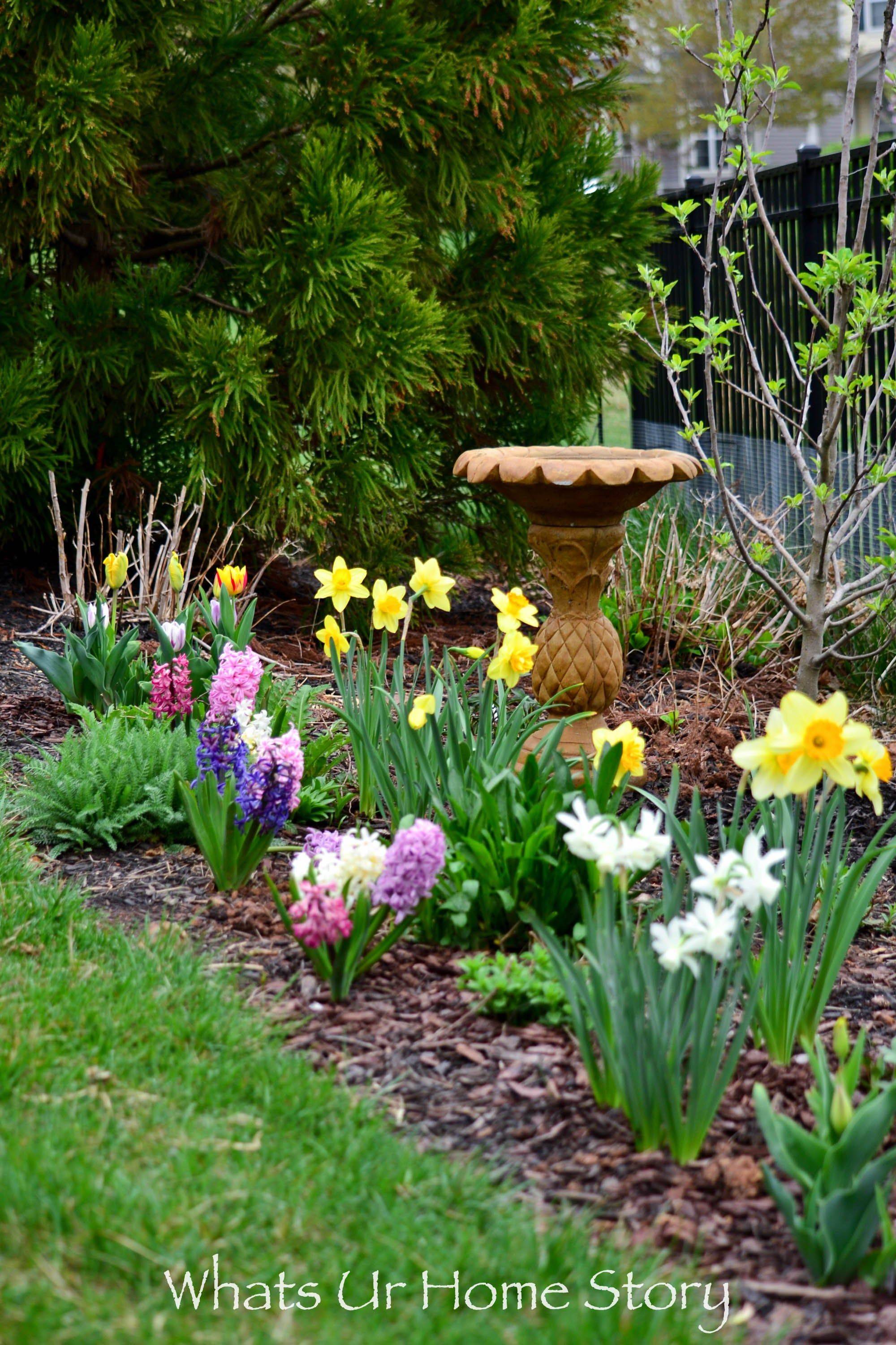 25 Early Spring Garden Ideas You Should Check | SharonSable