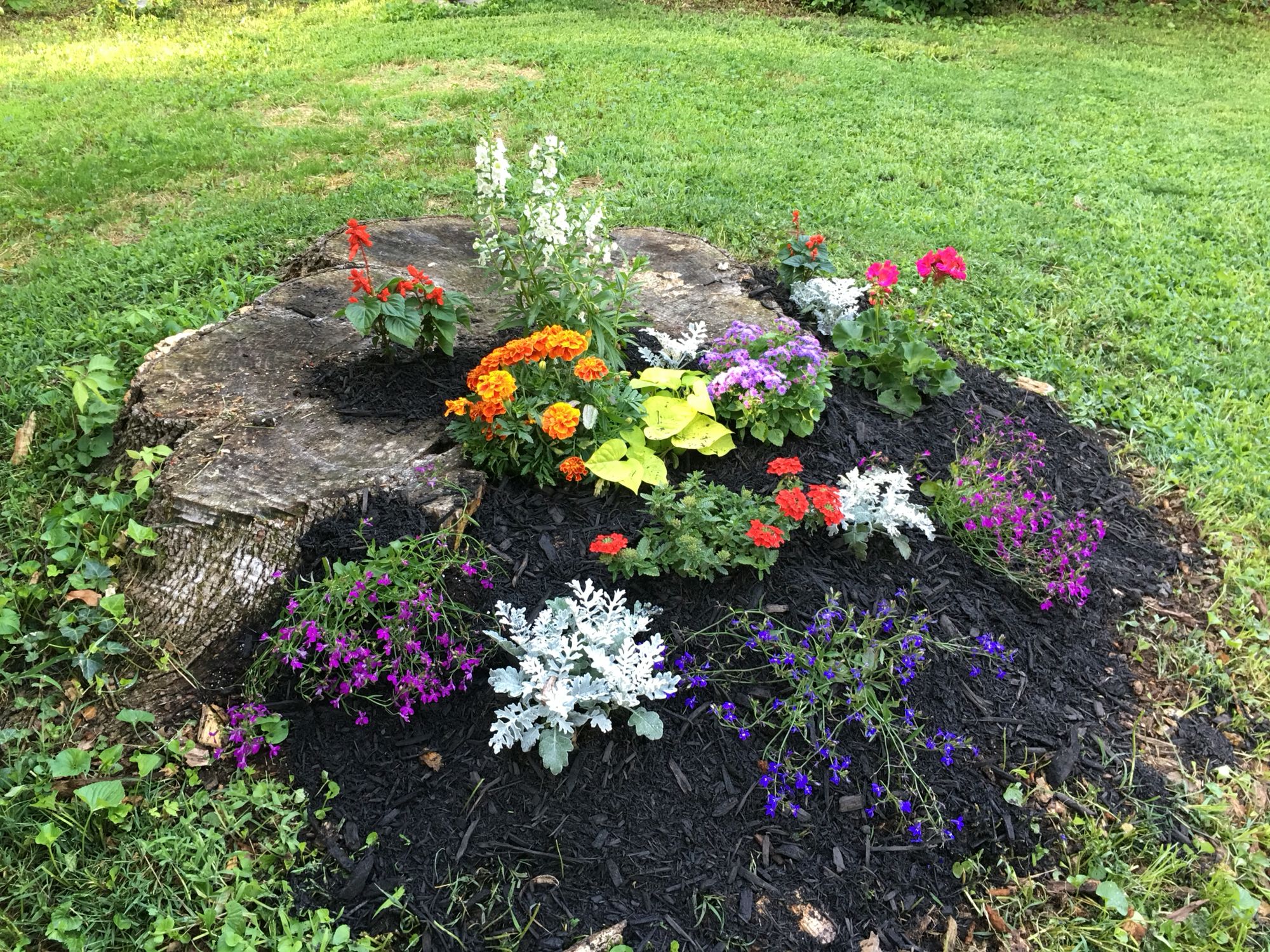 19 Flower Garden Ideas around Trees To Consider | SharonSable