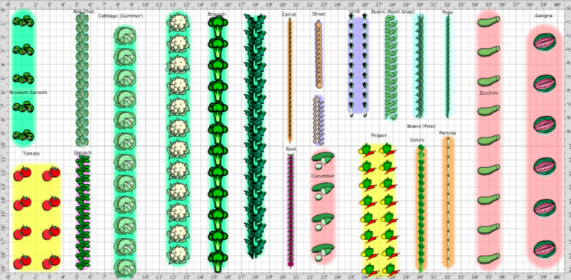 21 Vegetable Garden Layout Diagram Ideas You Gonna Love | SharonSable