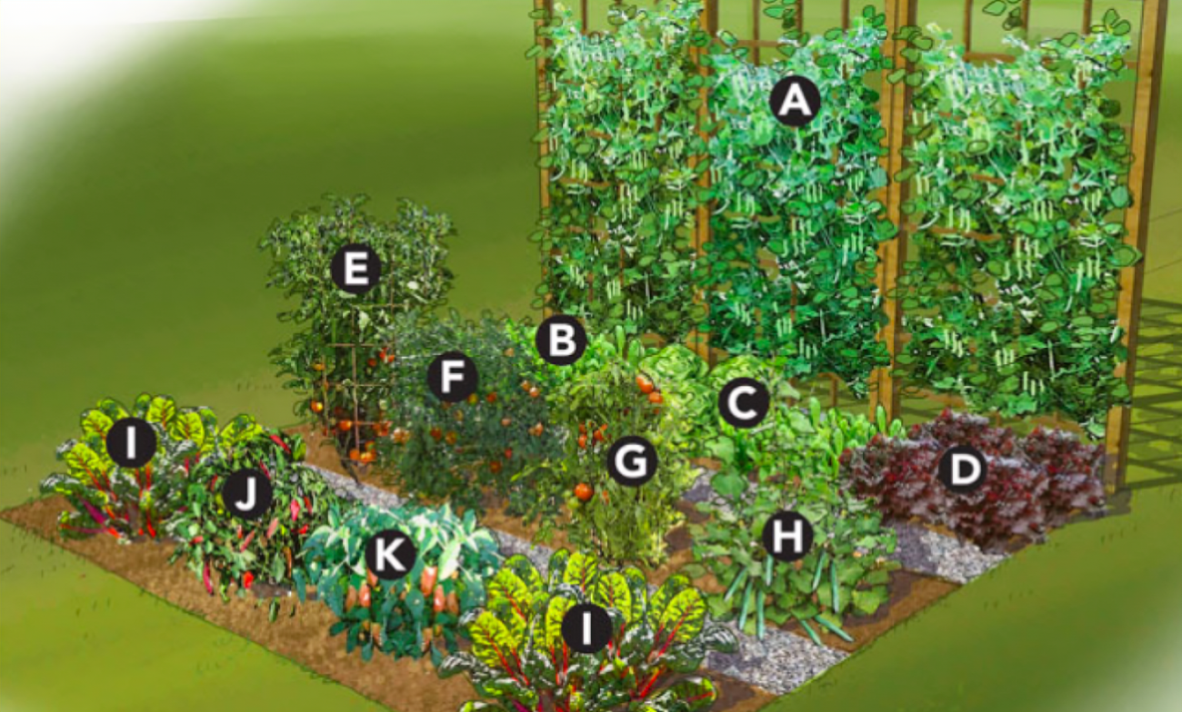 21 Vegetable Garden Layout Diagram Ideas You Gonna Love | SharonSable