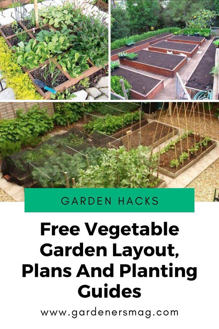21 Vegetable Garden Layout Diagram Ideas You Gonna Love | SharonSable