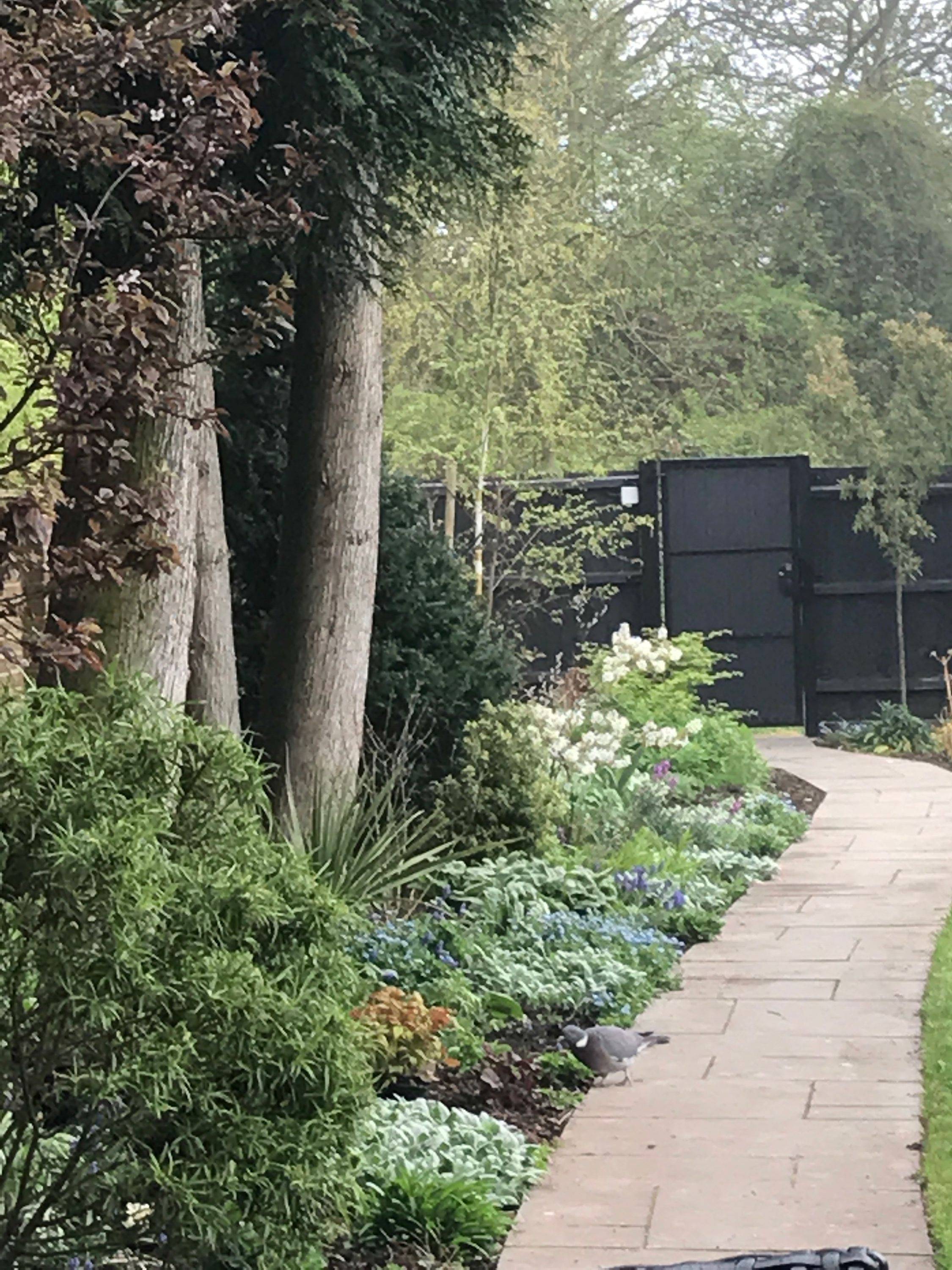 24 Shade Garden Borders Ideas To Try This Year | SharonSable