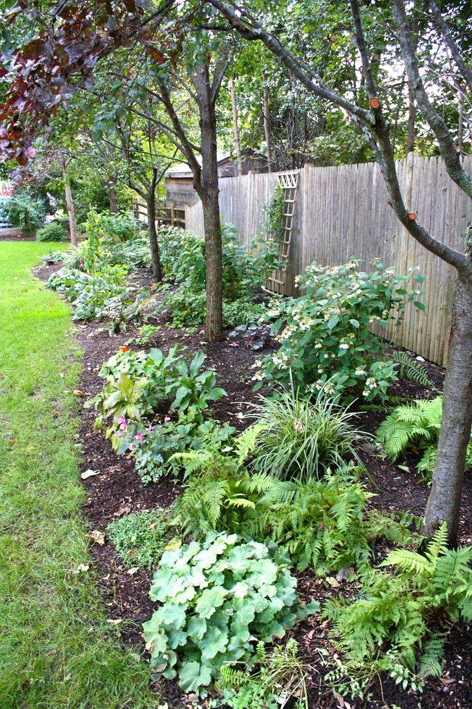 24 Shade Garden Borders Ideas To Try This Year | SharonSable