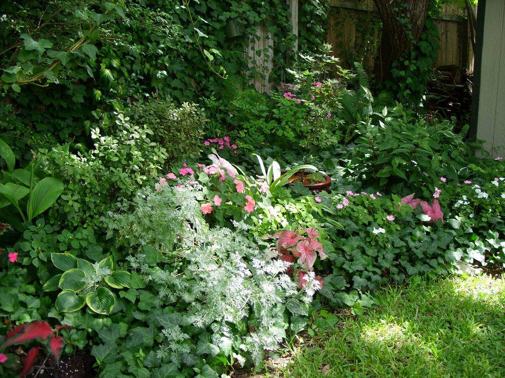 24 Shade Garden Borders Ideas To Try This Year | SharonSable