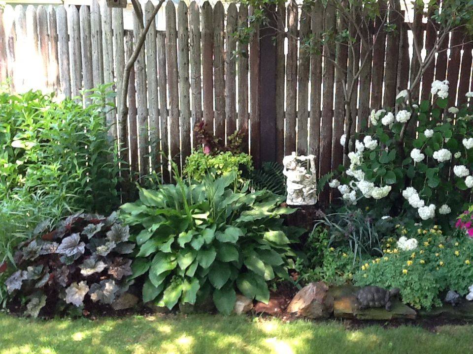 24 Shade Garden Borders Ideas To Try This Year | SharonSable