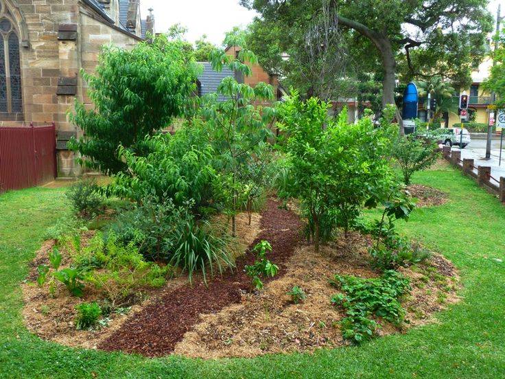 21 Permaculture Forest Garden Ideas You Should Check | SharonSable