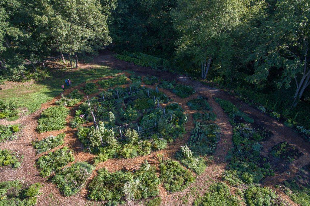 21 Permaculture Forest Garden Ideas You Should Check | SharonSable