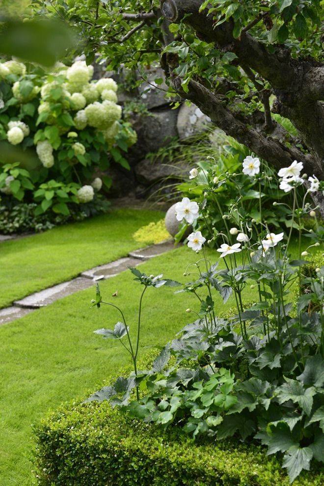 23 White Shade Garden Ideas You Gonna Love | SharonSable