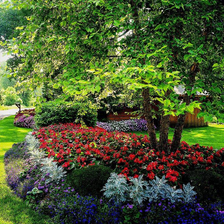 19 Colorful Shade Garden Plans Ideas You Should Check | SharonSable