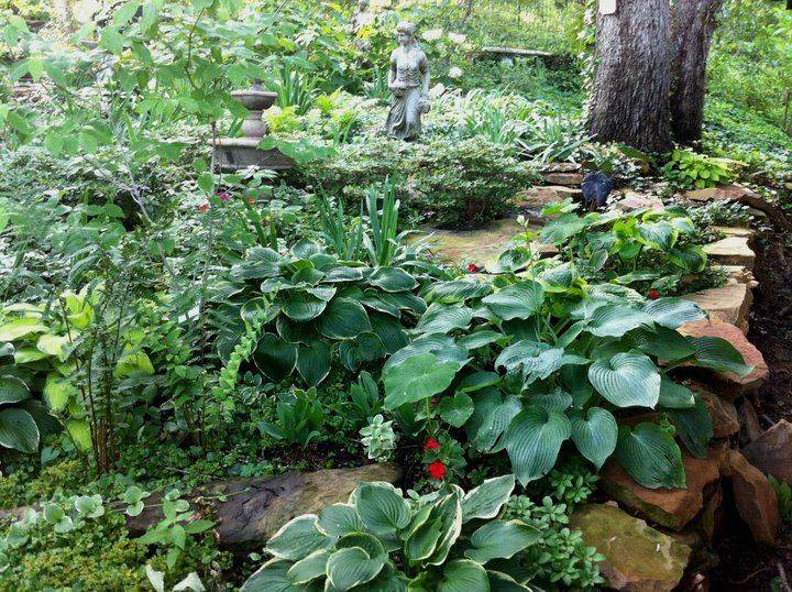 20 Best Hosta Garden Ideas You Should Check | SharonSable