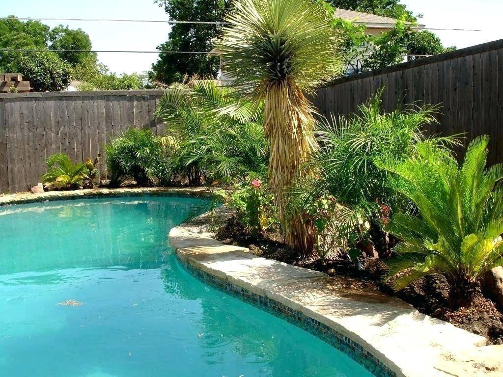 26 Tropical Pool Garden Ideas To Try This Year | SharonSable