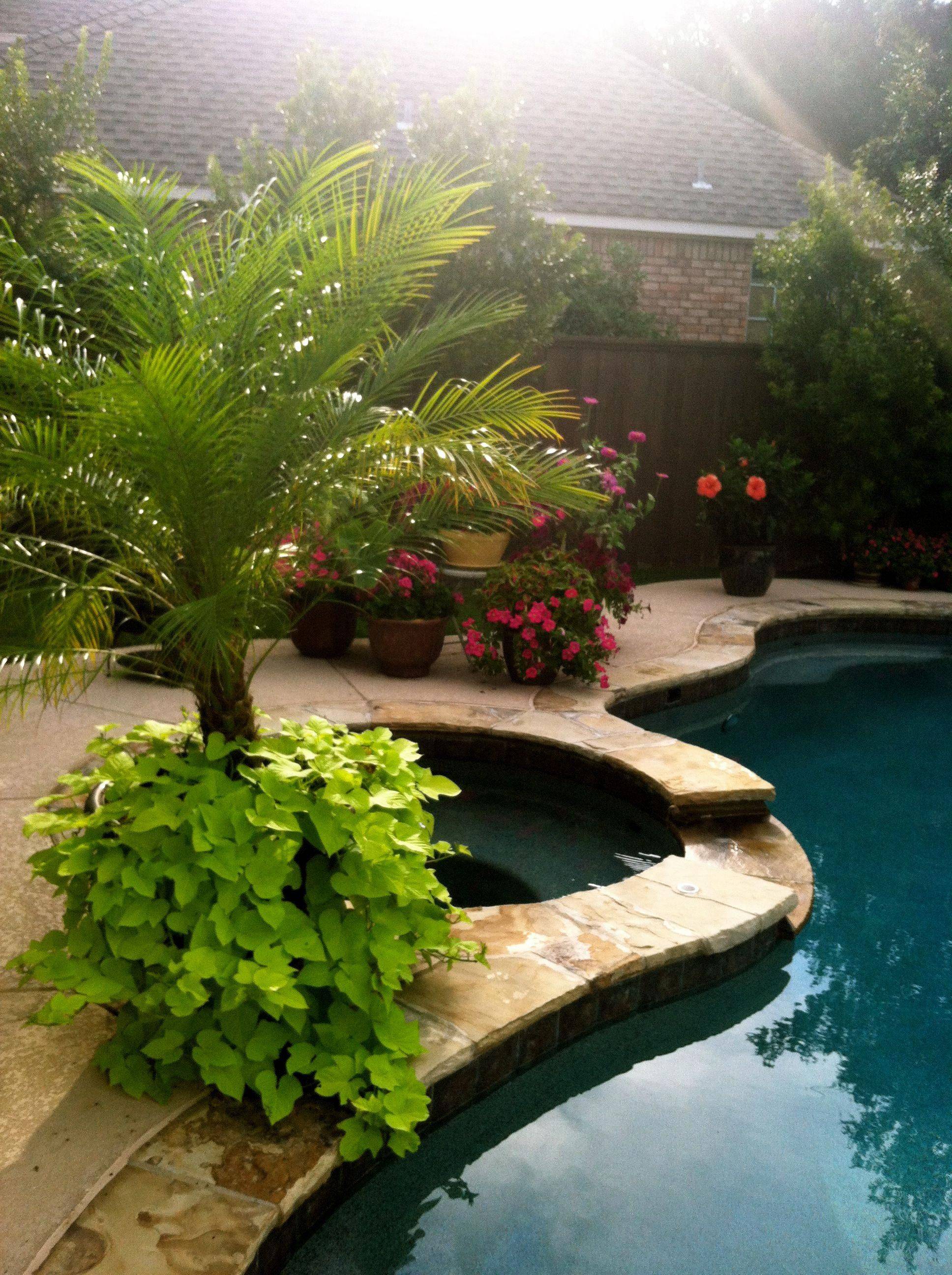 26 Tropical Pool Garden Ideas To Try This Year | SharonSable