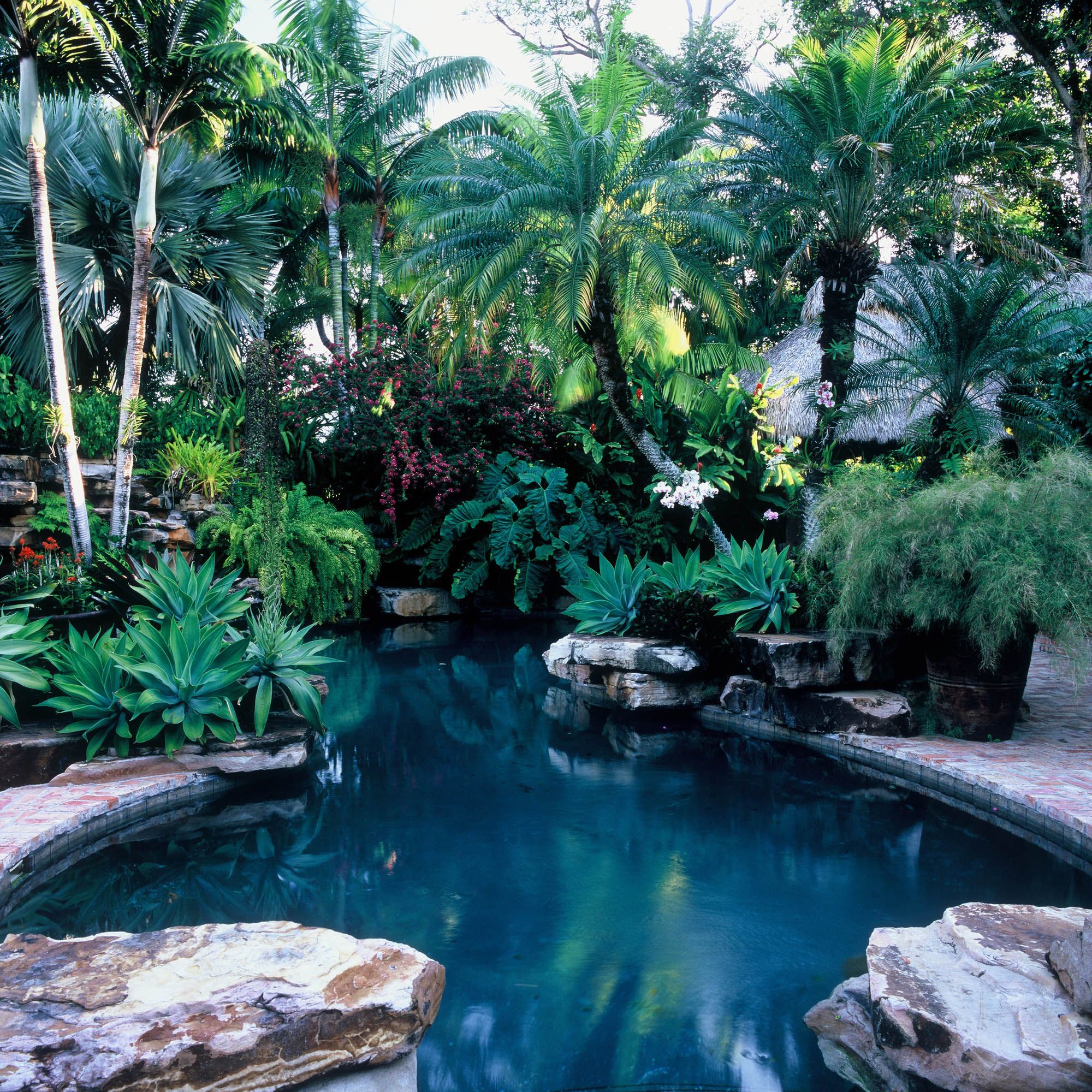 26 Tropical Pool Garden Ideas To Try This Year | SharonSable