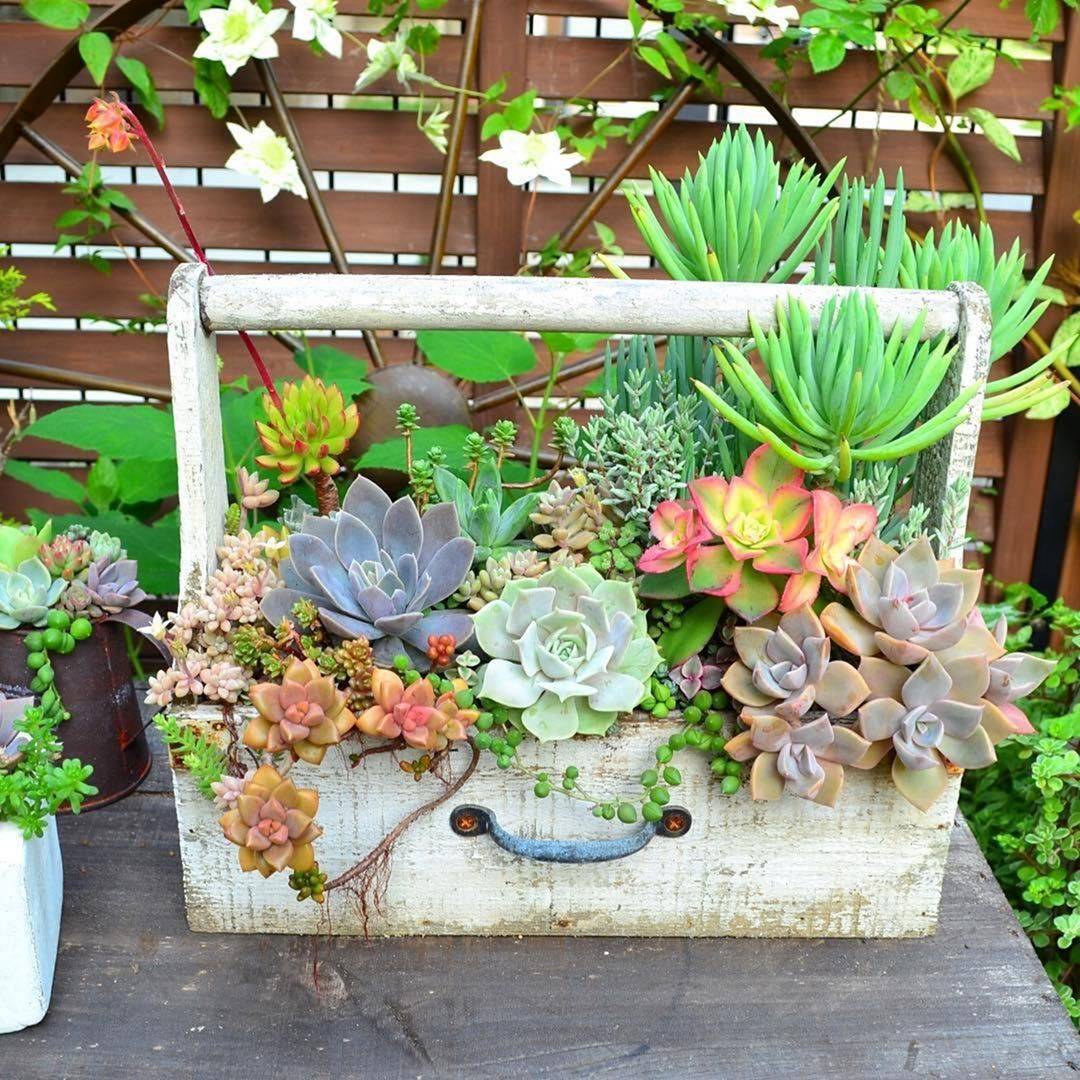 18 Unusual Succulent Container Garden Ideas You Cannot Miss | SharonSable