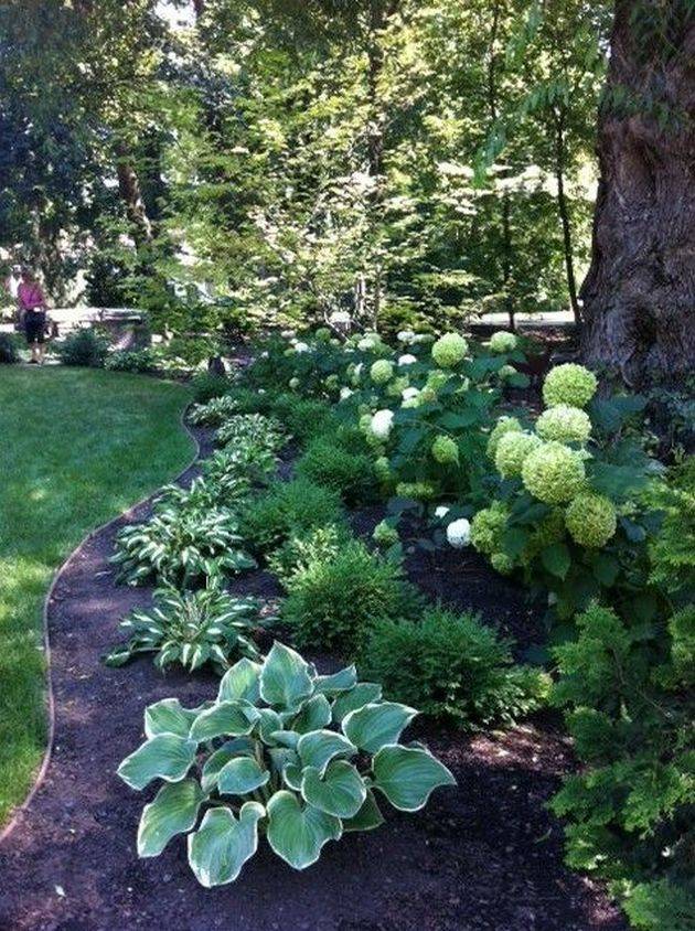 23 Minnesota Shade Garden Ideas For This Year | SharonSable