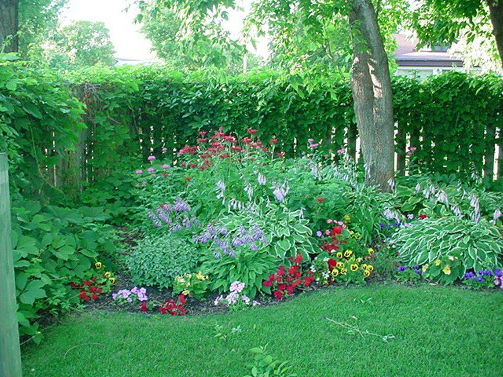 25 Part Shade Garden Borders Ideas Worth a Look | SharonSable