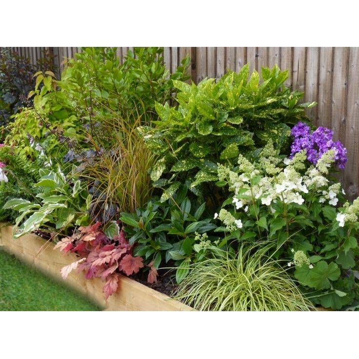 25 Part Shade Garden Borders Ideas Worth a Look | SharonSable