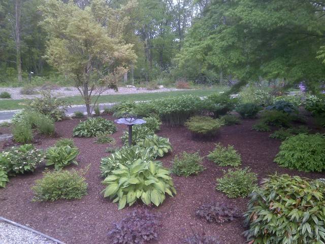 24 Spring Shade Garden Ideas For This Year | SharonSable