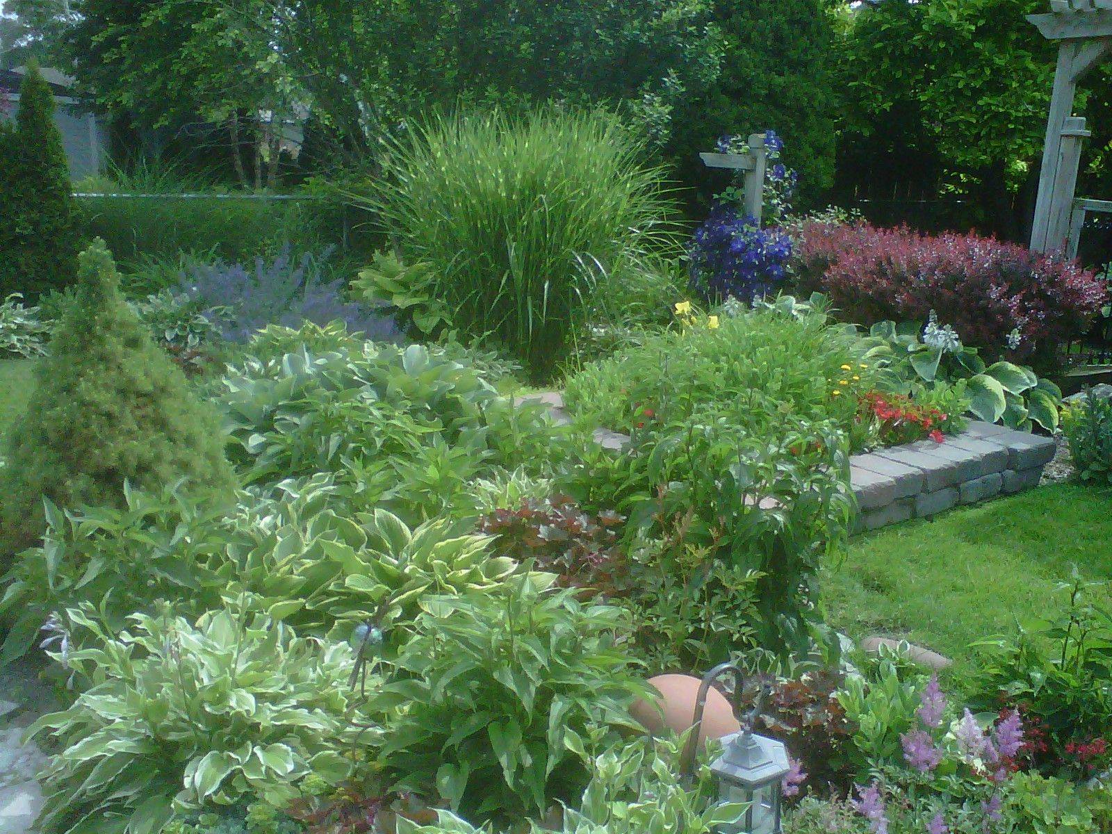 24 Spring Shade Garden Ideas For This Year | SharonSable