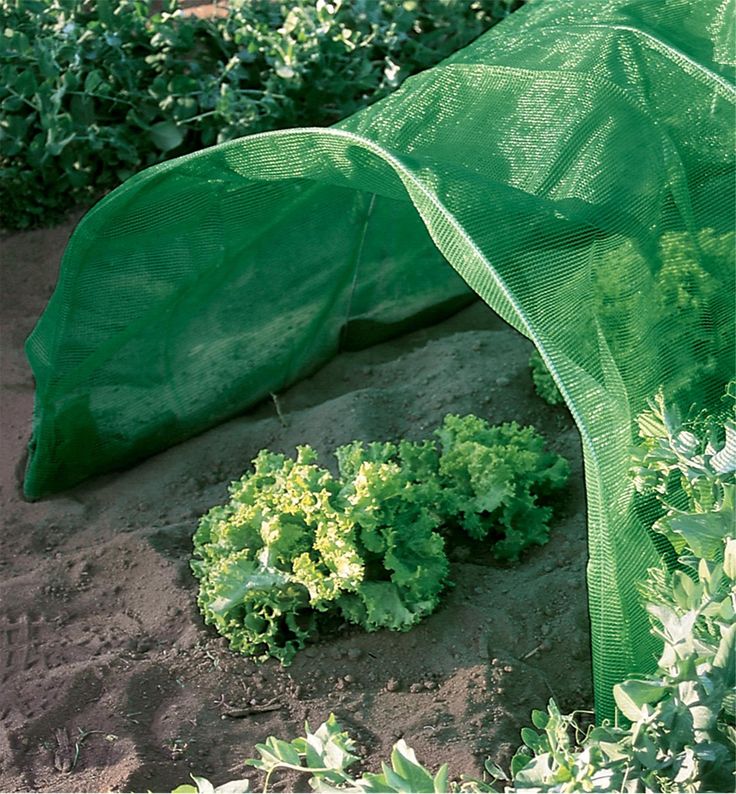 20 Garden Shade Cloth Ideas To Try This Year | SharonSable