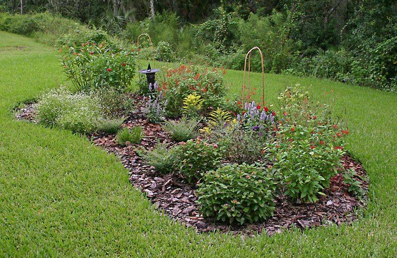 19 Butterfly Hummingbird Garden Plans Ideas For This Year | SharonSable