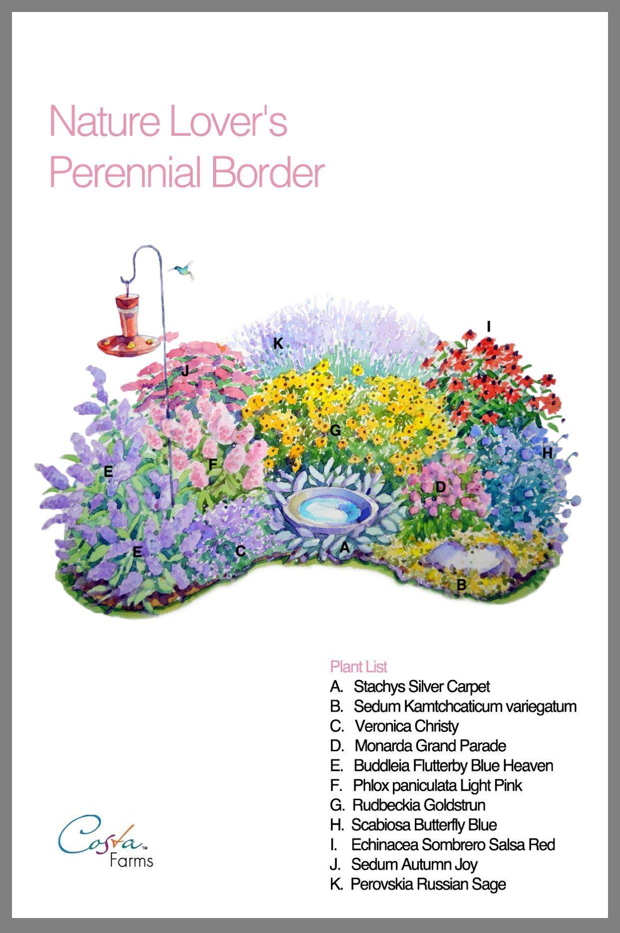 19 Butterfly Hummingbird Garden Plans Ideas For This Year | SharonSable