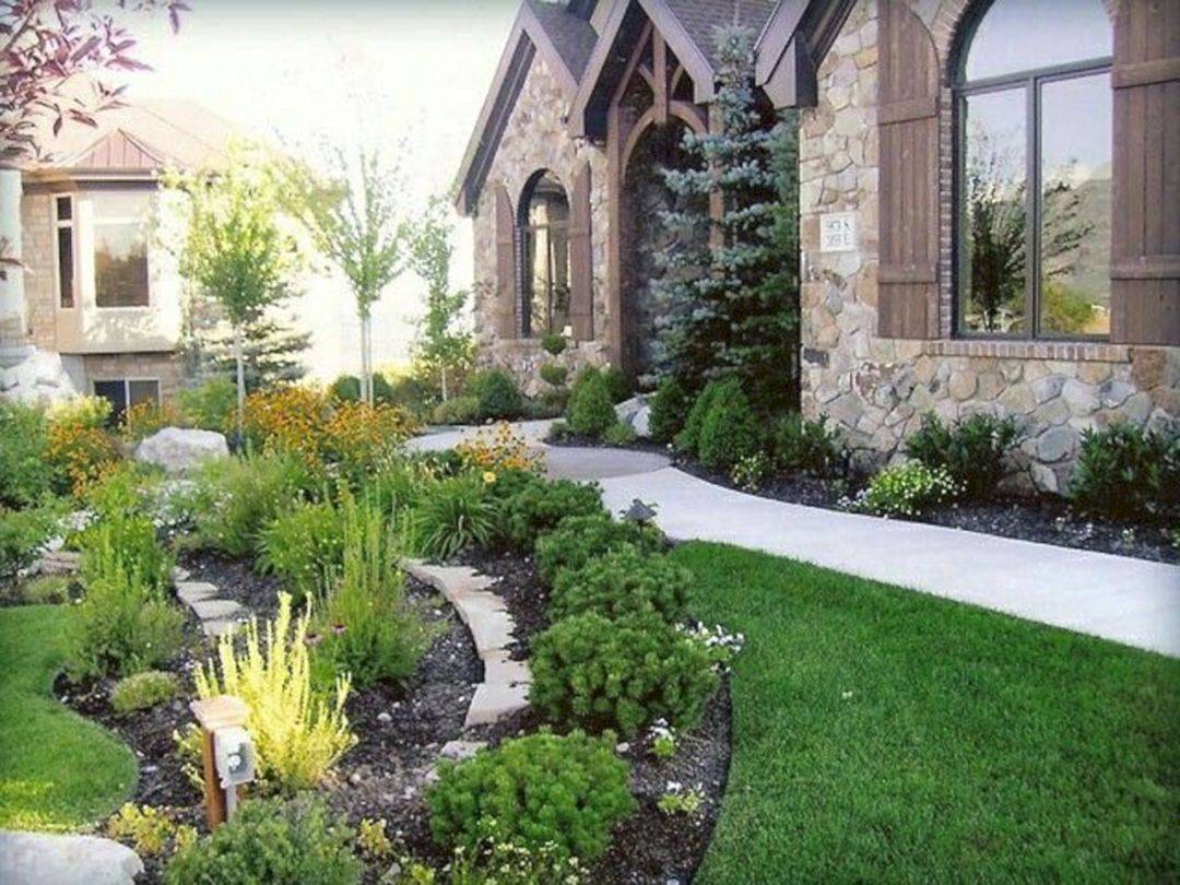 23 Pine Tree in Garden Ideas You Must Look | SharonSable