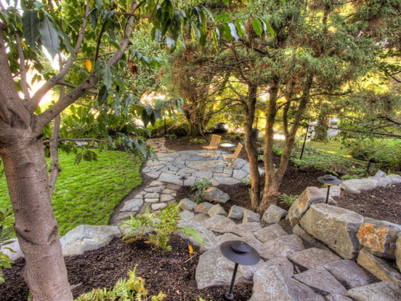 23 Pine Tree in Garden Ideas You Must Look | SharonSable