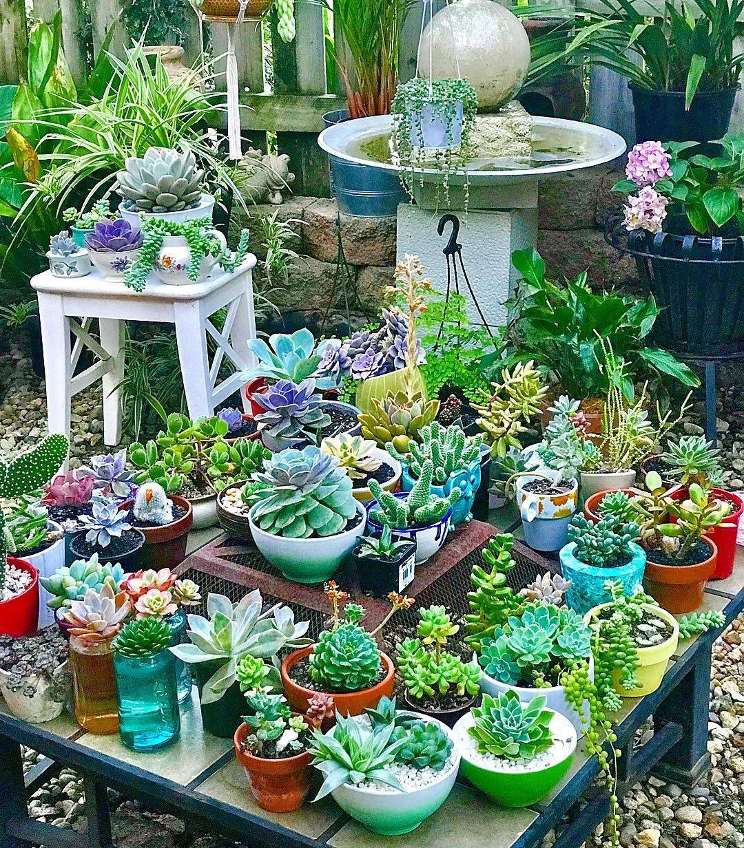 21 DIY Succulent Garden Design Ideas Worth a Look | SharonSable