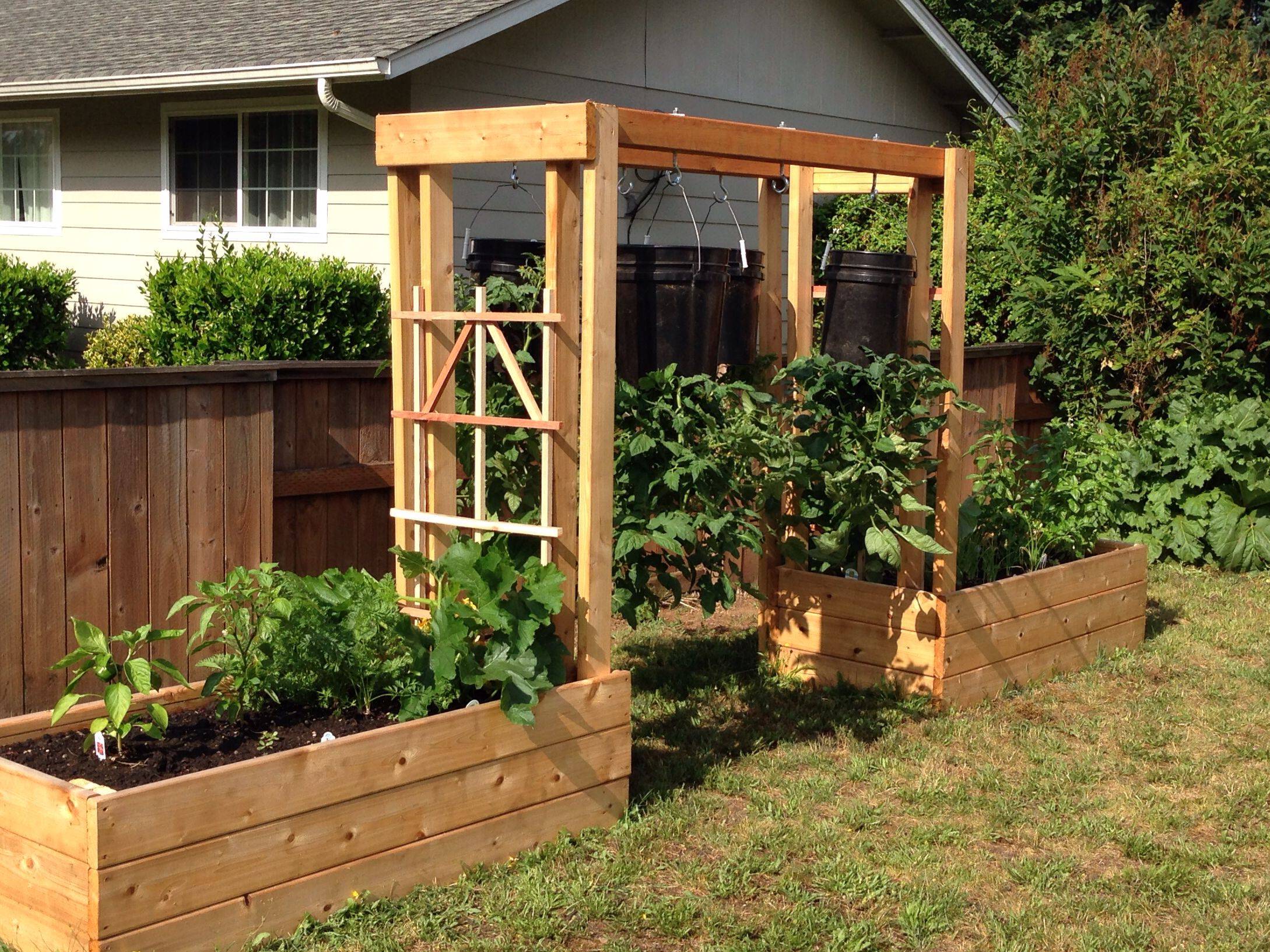 23 Raised Tomato Garden Ideas You Cannot Miss | SharonSable