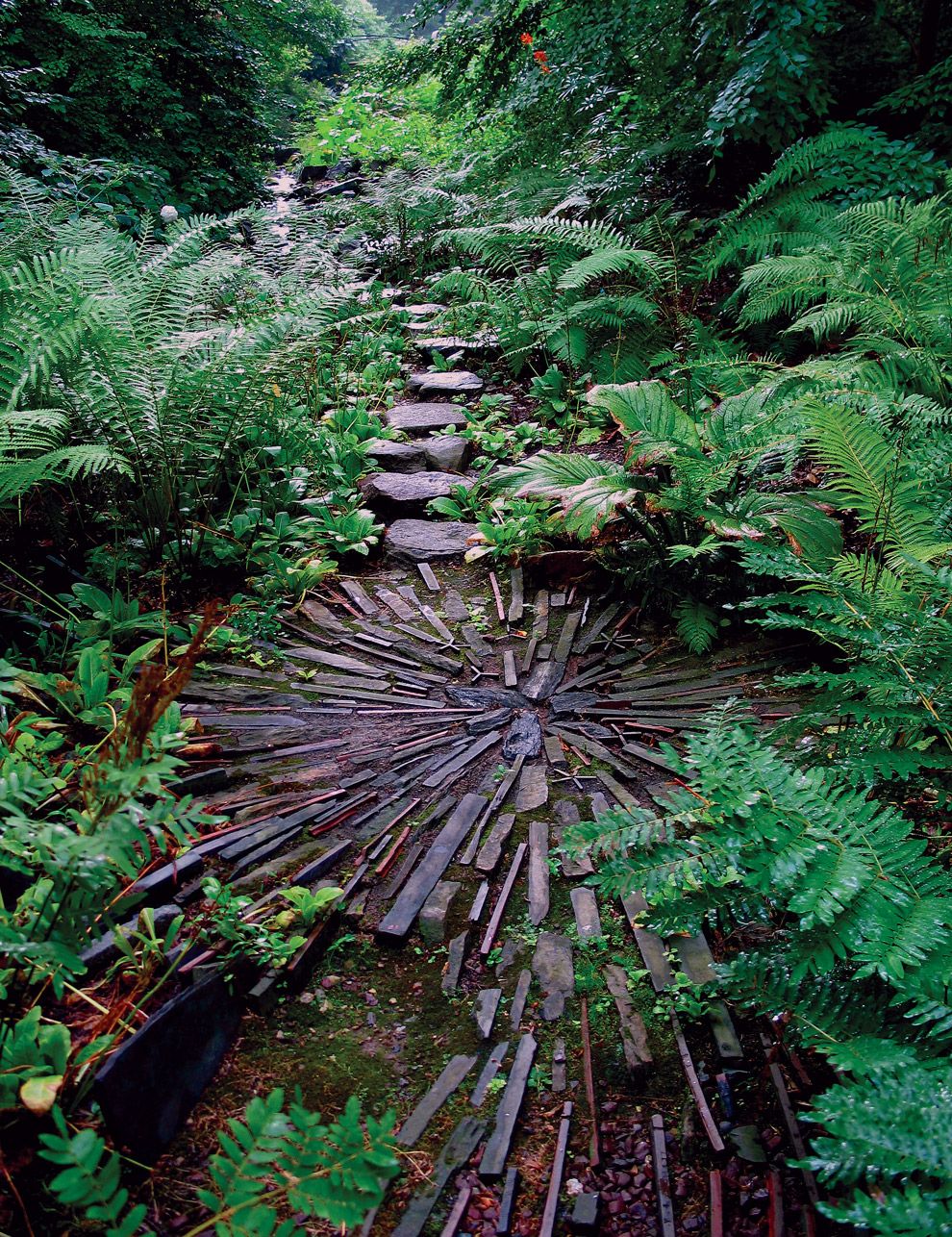 24 Deep Shade Garden Plants Ideas To Consider | SharonSable